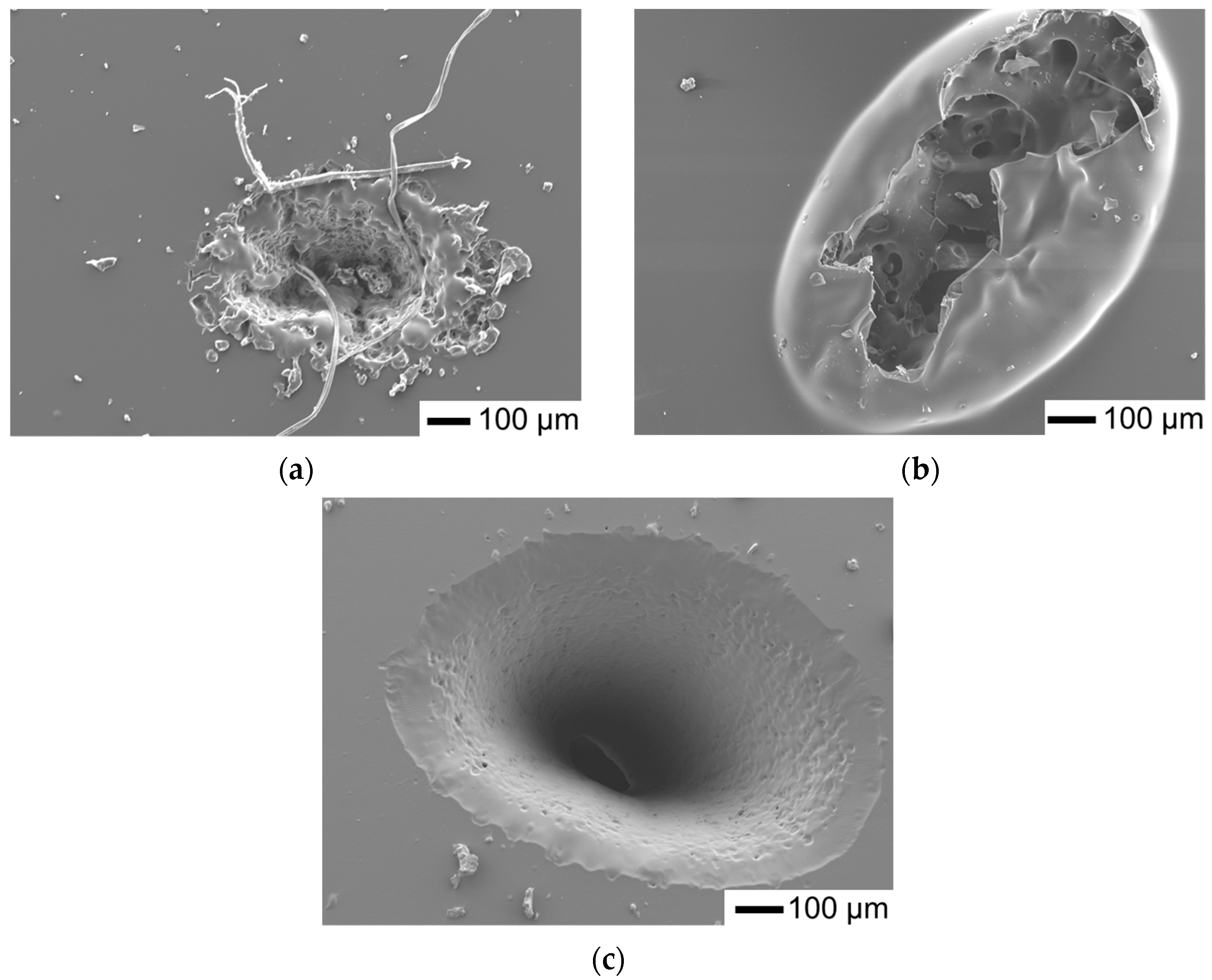 Laser Processing of Intraocular Lenses