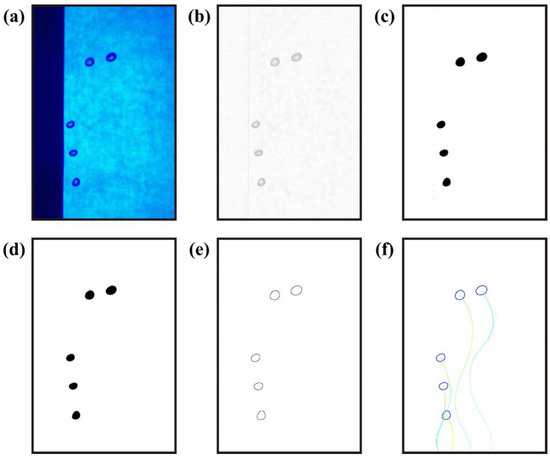 Experimental Investigation on the Dynamic Characteristics of Bubble-in ...