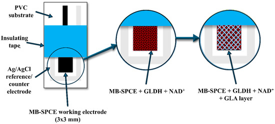 Development of a Disposable, Amperometric Glycerol Biosensor Based on a ...