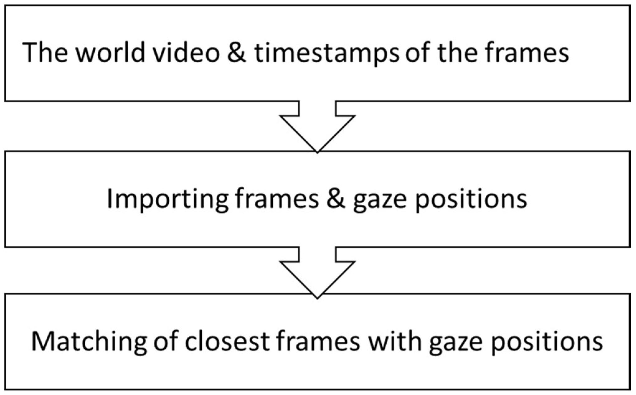 An Image Processing-Based Method to Analyze Driver Visual Behavior Using Eye-Tracker Data