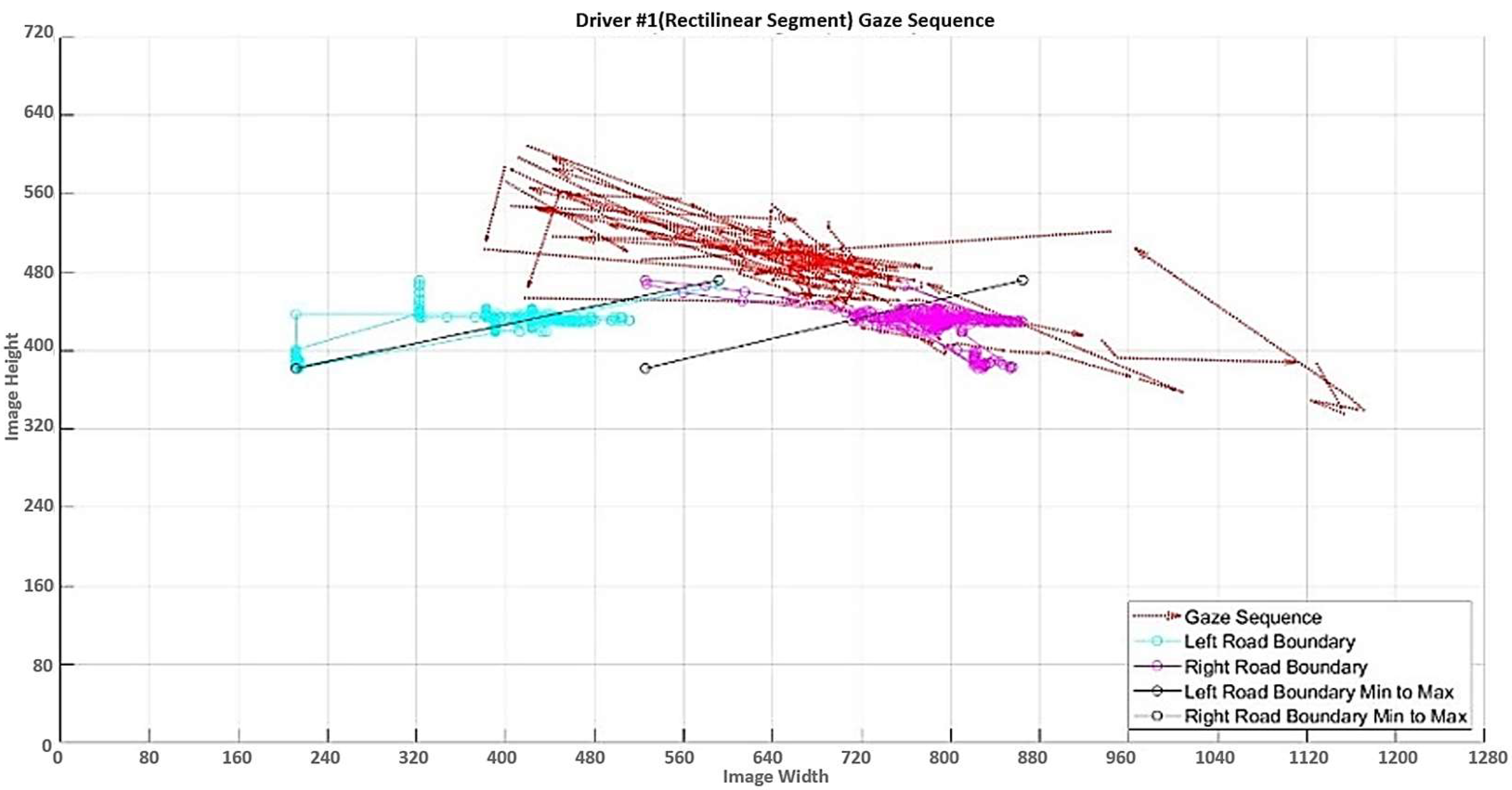 An Image Processing-Based Method to Analyze Driver Visual Behavior Using Eye-Tracker Data