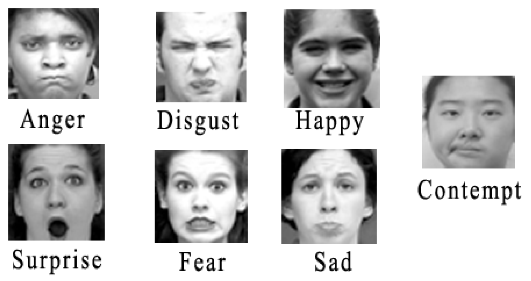 Swin-FER: Swin Transformer for Facial Expression Recognition