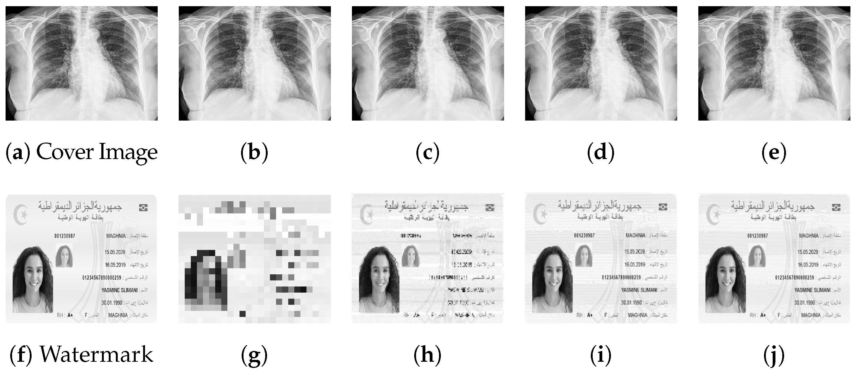 Applied Sciences | Free Full-Text | A DWT-Based Approach with Gradient ...