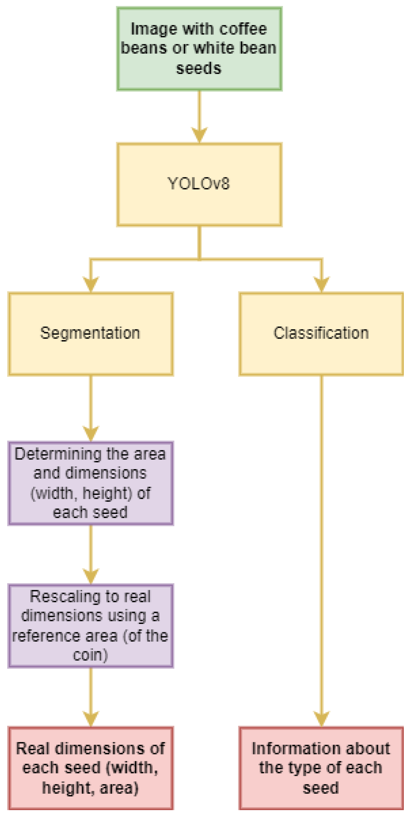 Implementing YOLO Convolutional Neural Network for Seed Size Detection