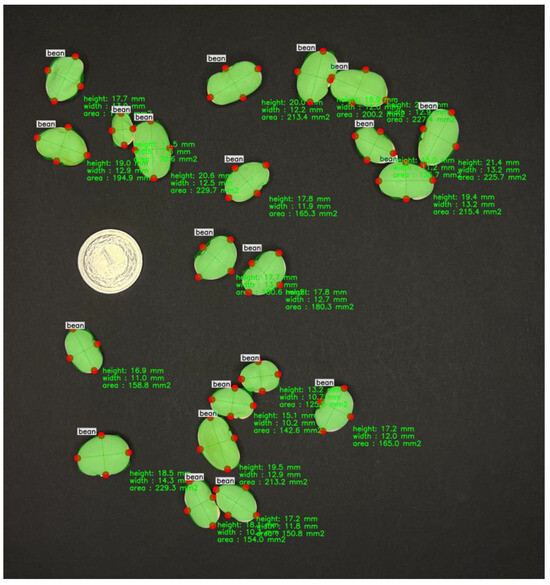 Implementing YOLO Convolutional Neural Network for Seed Size Detection