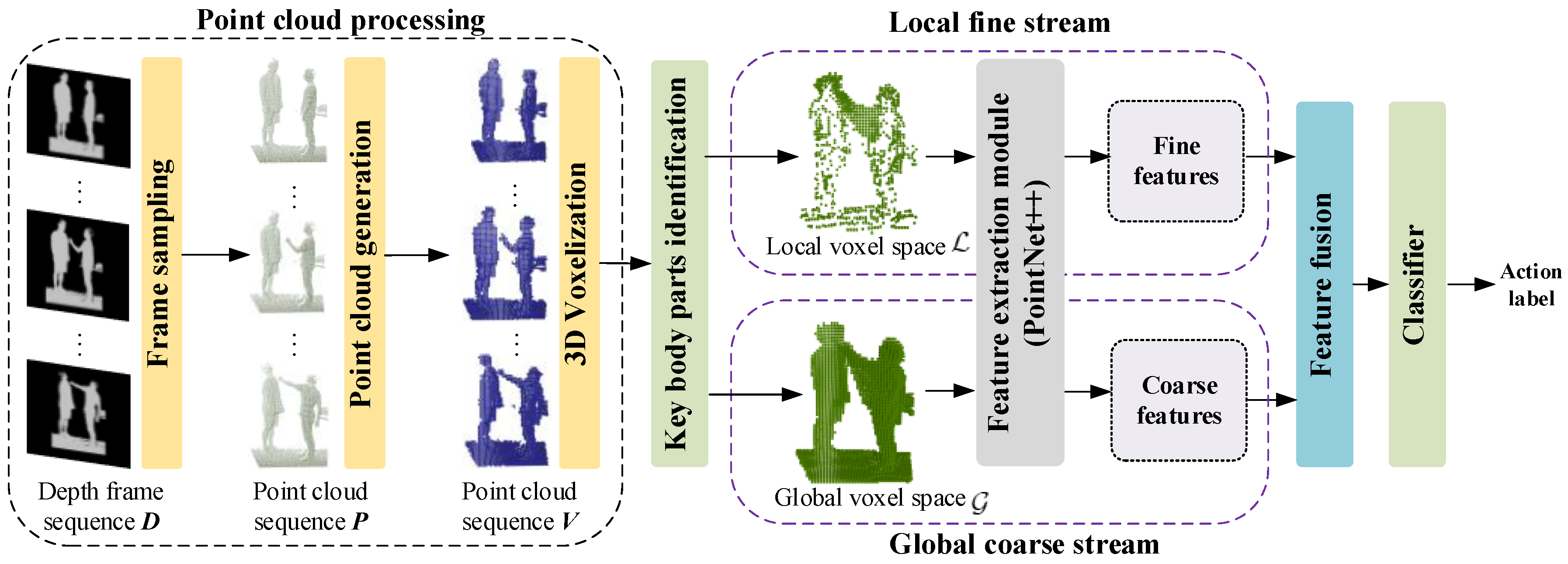 A Novel Symmetric Fine-Coarse Neural Network for 3D Human Action ...