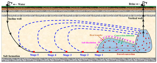 Modeling and Parameter Optimization of Multi-Step Horizontal Salt ...