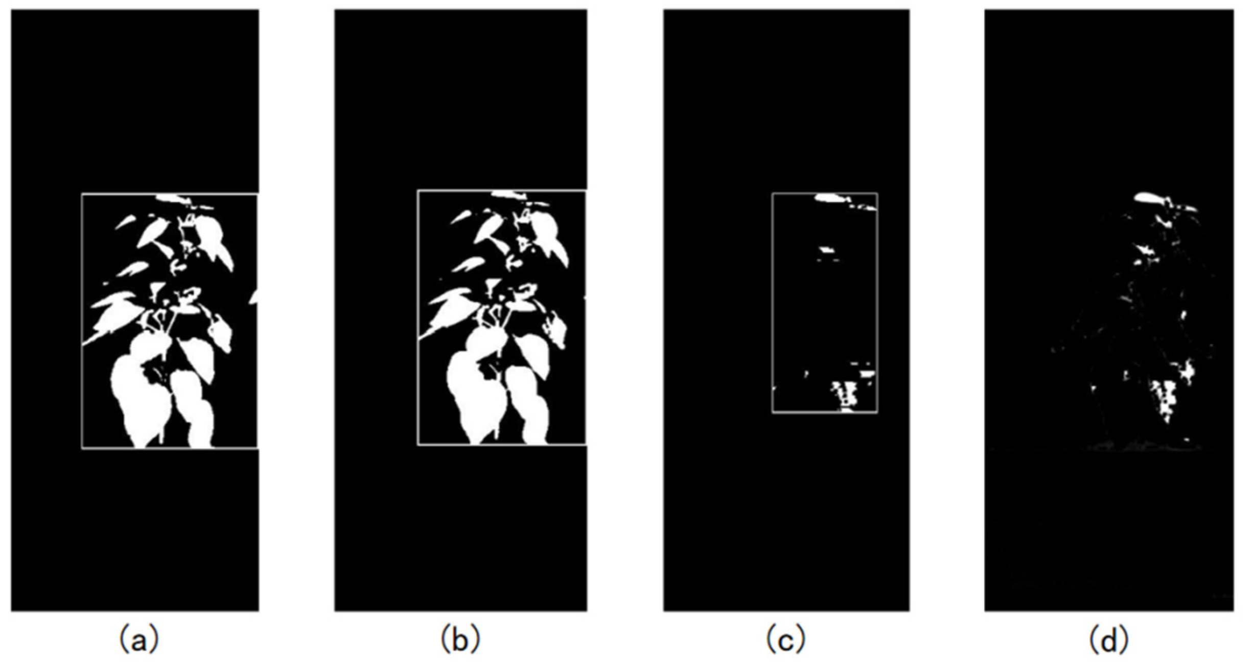 A Multi-Plant Height Detection Method Based on Ruler-Free Monocular ...