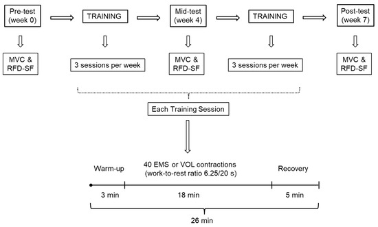 Applied Sciences | Free Full-Text | Rate of Torque Development Scaling ...