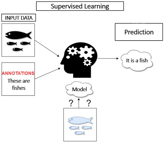 Applied Sciences | Free Full-Text | Artificial Intelligence in ...