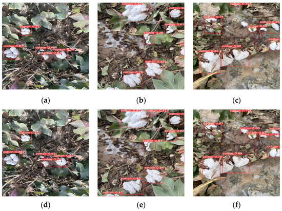 COTTON-YOLO: Enhancing Cotton Boll Detection and Counting in Complex Environmental Conditions ...