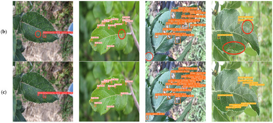 A Lightweight YOLOv8 Model for Apple Leaf Disease Detection