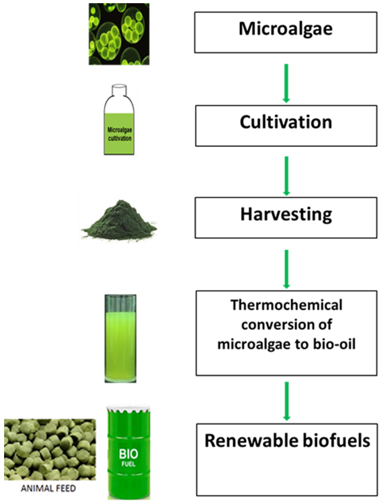 Application of Microalgae to Wastewater Bioremediation, with CO2 Biomitigation, Health Product ...