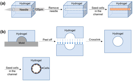 Research Progress in the Construction and Application of In Vitro ...