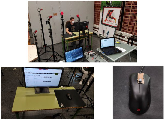 Influence of Mouse Grip Type on Flicking and Tracking Tasks Performance