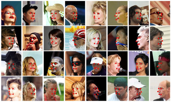 A Robust and Efficient Method for Effective Facial Keypoint Detection