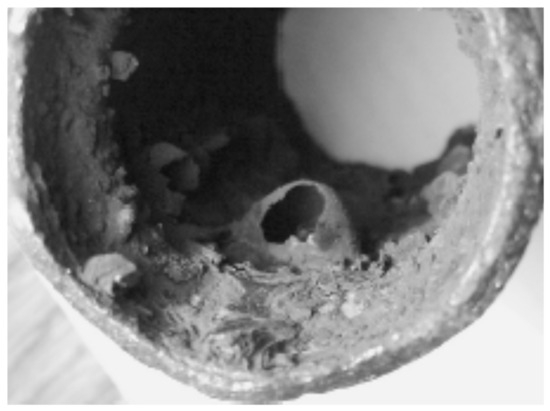 Pitting Corrosion of Steel Pipes in Water Supply Systems: An Influence ...