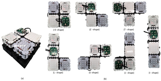 Reconfigurable Robotic Exercising Companion
