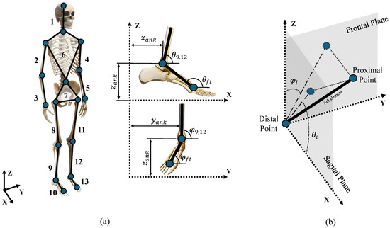Modelling Human-Structure Interaction in Pedestrian Bridges Using a ...