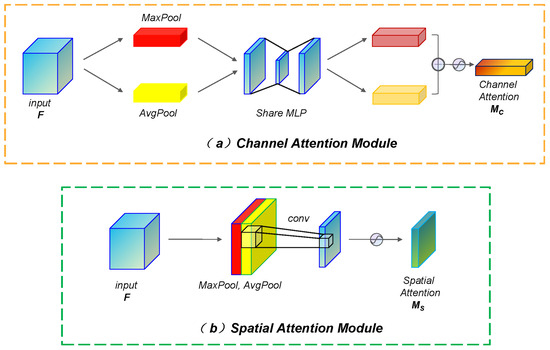 MAPPNet: A Multi-Scale Attention Pyramid Pooling Network for Dental ...
