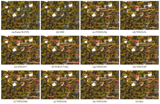 Applied Sciences | Free Full-Text | A Raisin Foreign Object Target Detection Method Based on ...