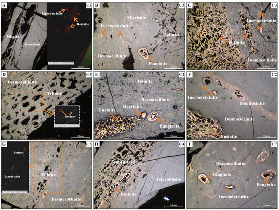 Occurrence and Favorable Enrichment Environment of Lithium in Gaoping ...