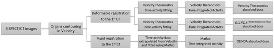 Patient-Specific Dosimetry Evaluations in Theranostics Software for ...