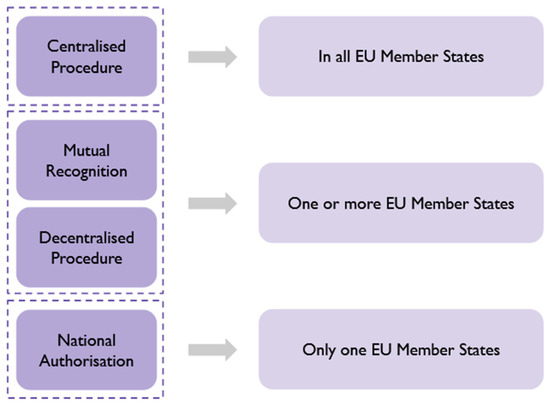 Biosimilar Medicines: From Development Process to Marketing ...