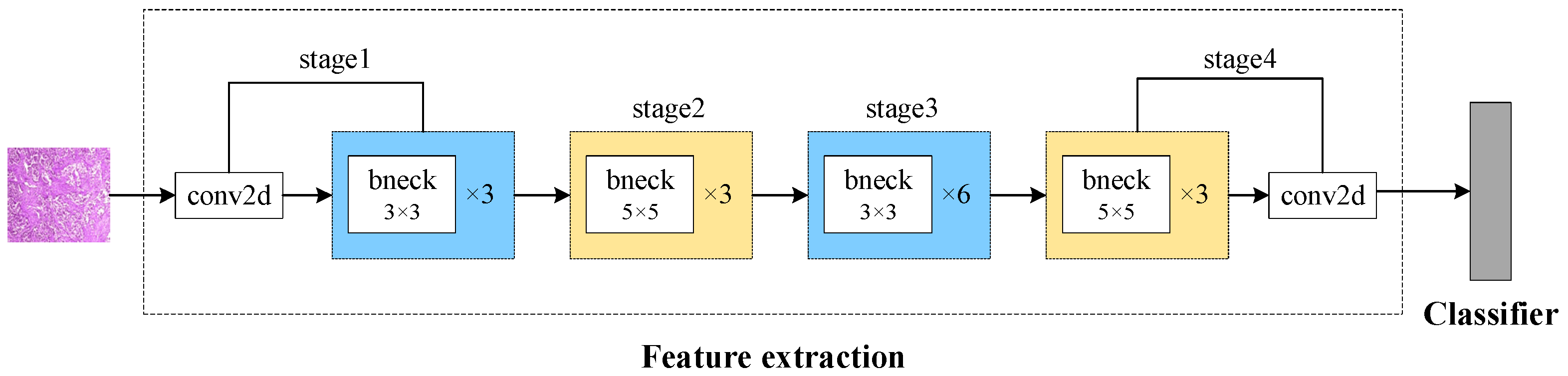 A Modified MobileNetV3 Model Using an Attention Mechanism for Eight ...