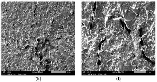 Study of the Effects of Plasma Pretreatment on the Microstructure of ...