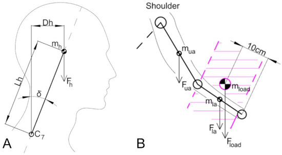 Ergonomic Assessment of Key Biomechanical Factors in Patient Lifting ...