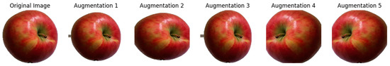 Simplified Deep Learning for Accessible Fruit Quality Assessment in ...