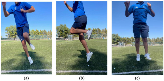 Examining the Relationship between Psychological and Functional Status ...