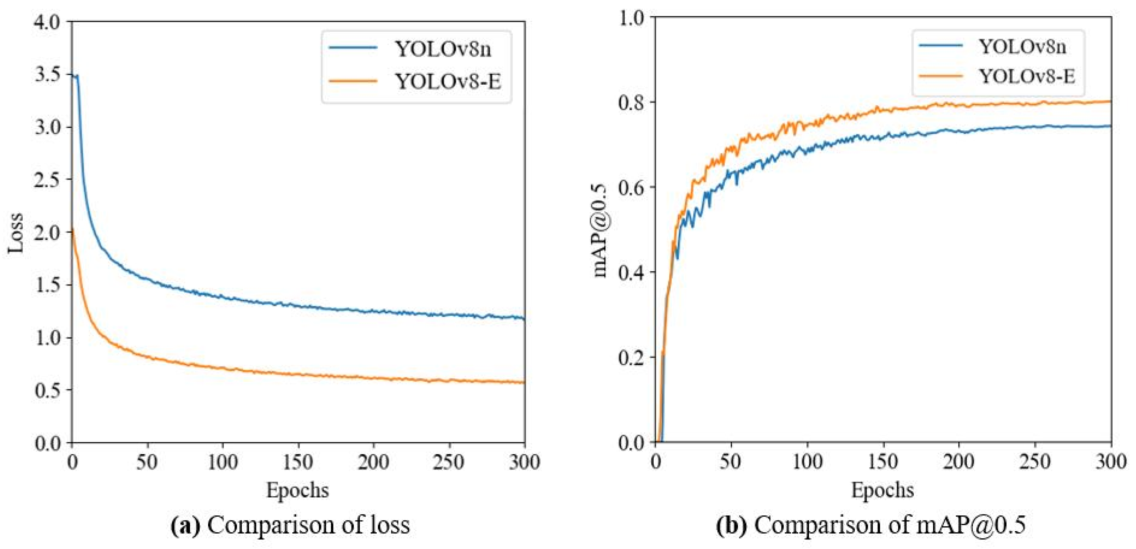 YOLOv8-E: An Improved YOLOv8 Algorithm for Eggplant Disease Detection