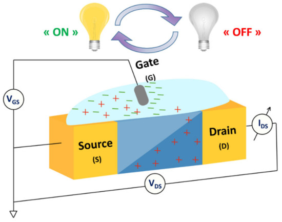 The New Era of Organic Field-Effect Transistors: Hybrid OECTs, OLEFETs ...