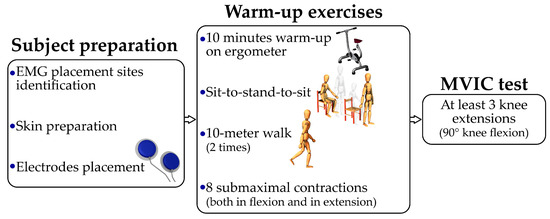 Image-Based Musculoskeletal Models to Accurately Reproduce a Maximum ...