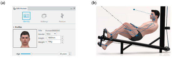 Design of a Human Muscle-Powered Flying Machine