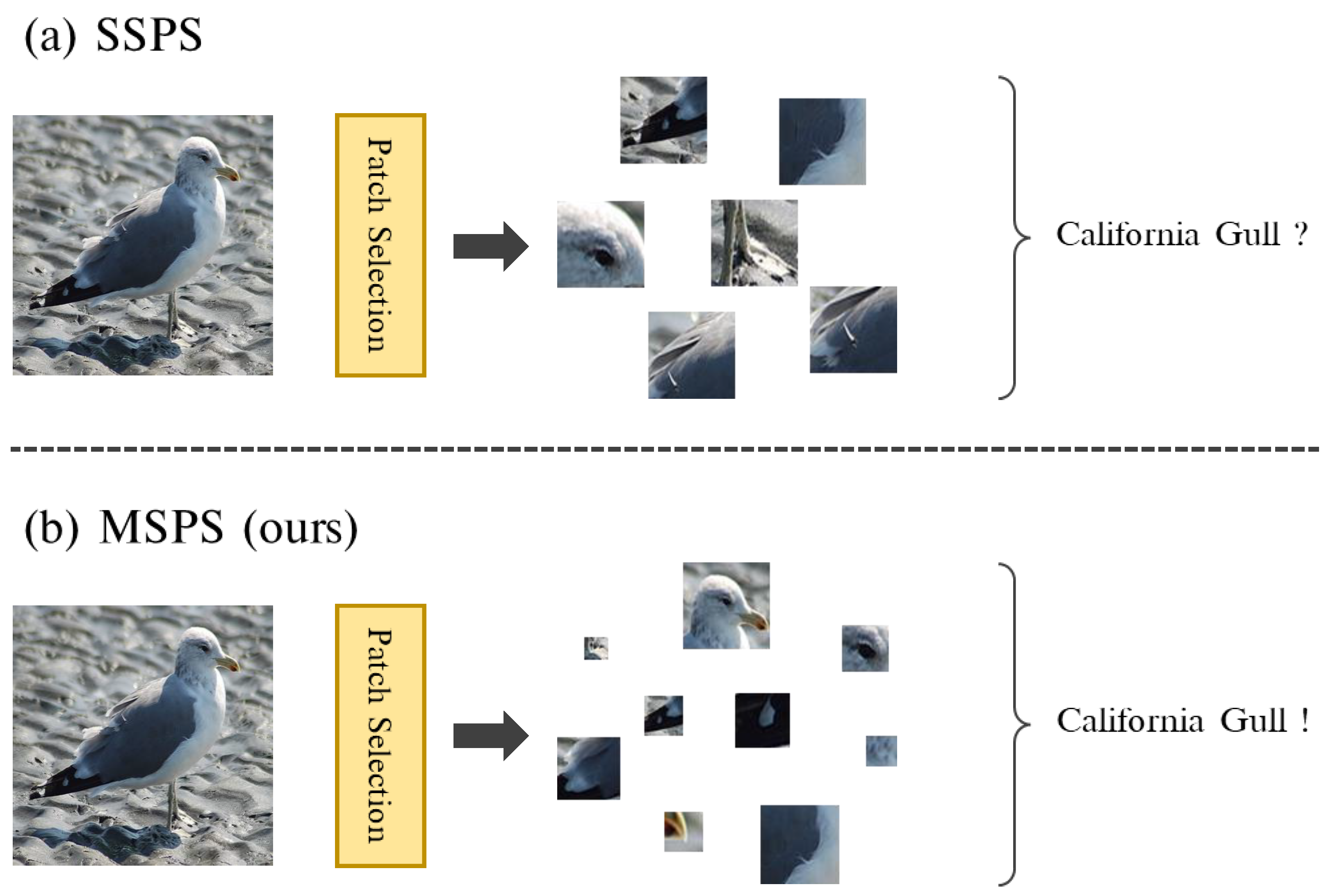 M2Former: Multiscale Patch Selection for Fine-Grained Visual Recognition