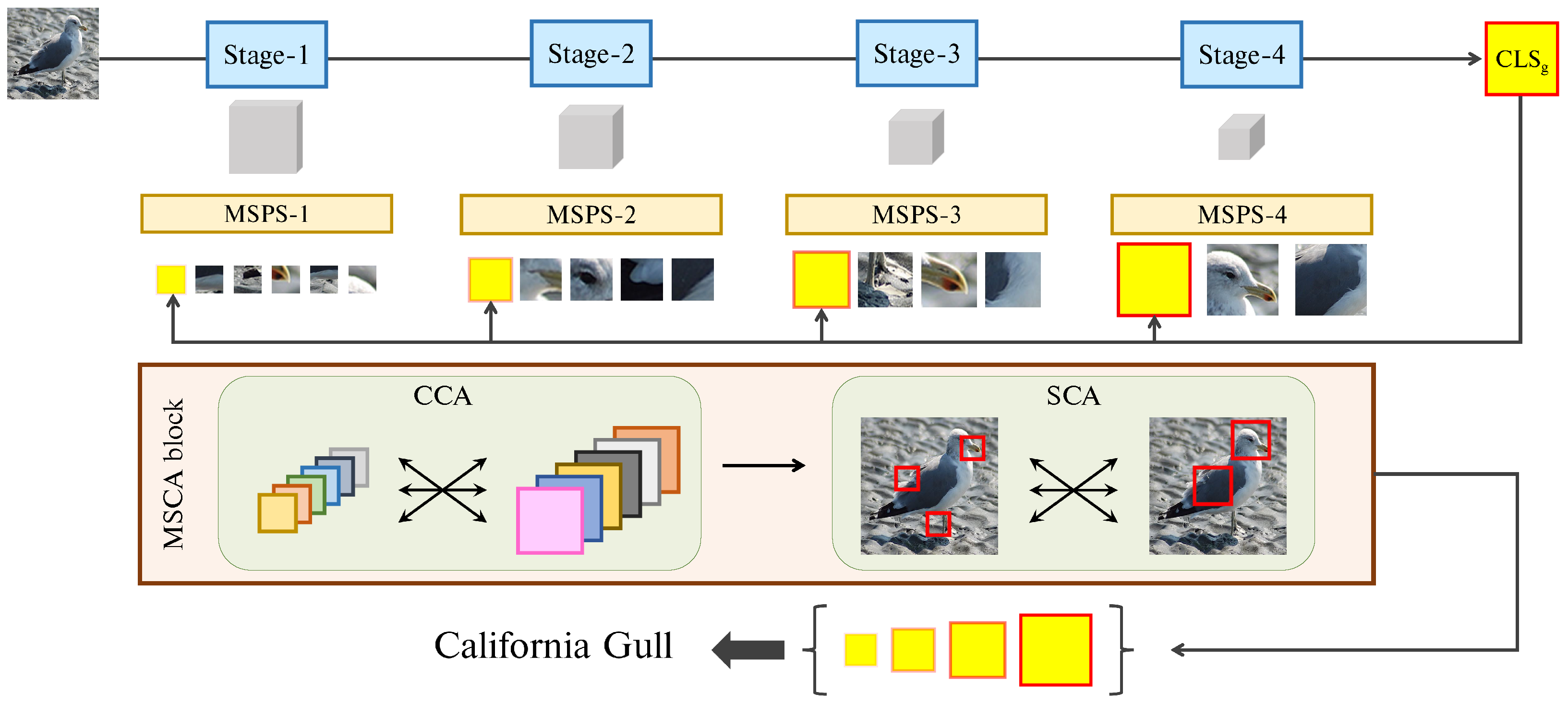 M2Former: Multiscale Patch Selection for Fine-Grained Visual Recognition
