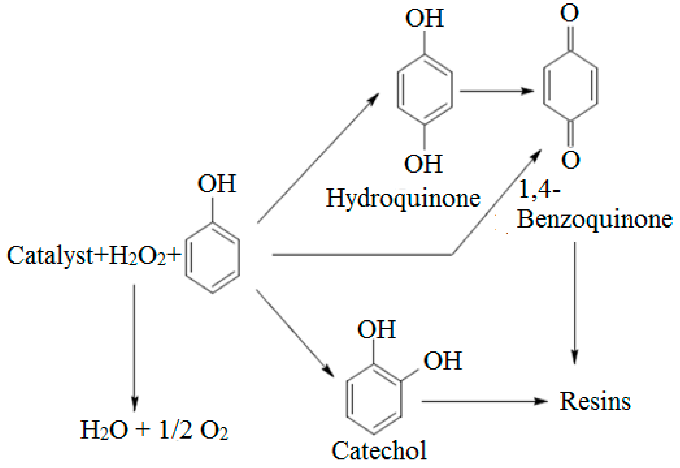 Study of the Oxidation of Phenol in the Presence of a Magnetic ...