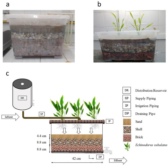 Enhancing Greywater Treatment: High-Efficiency Constructed Wetlands ...