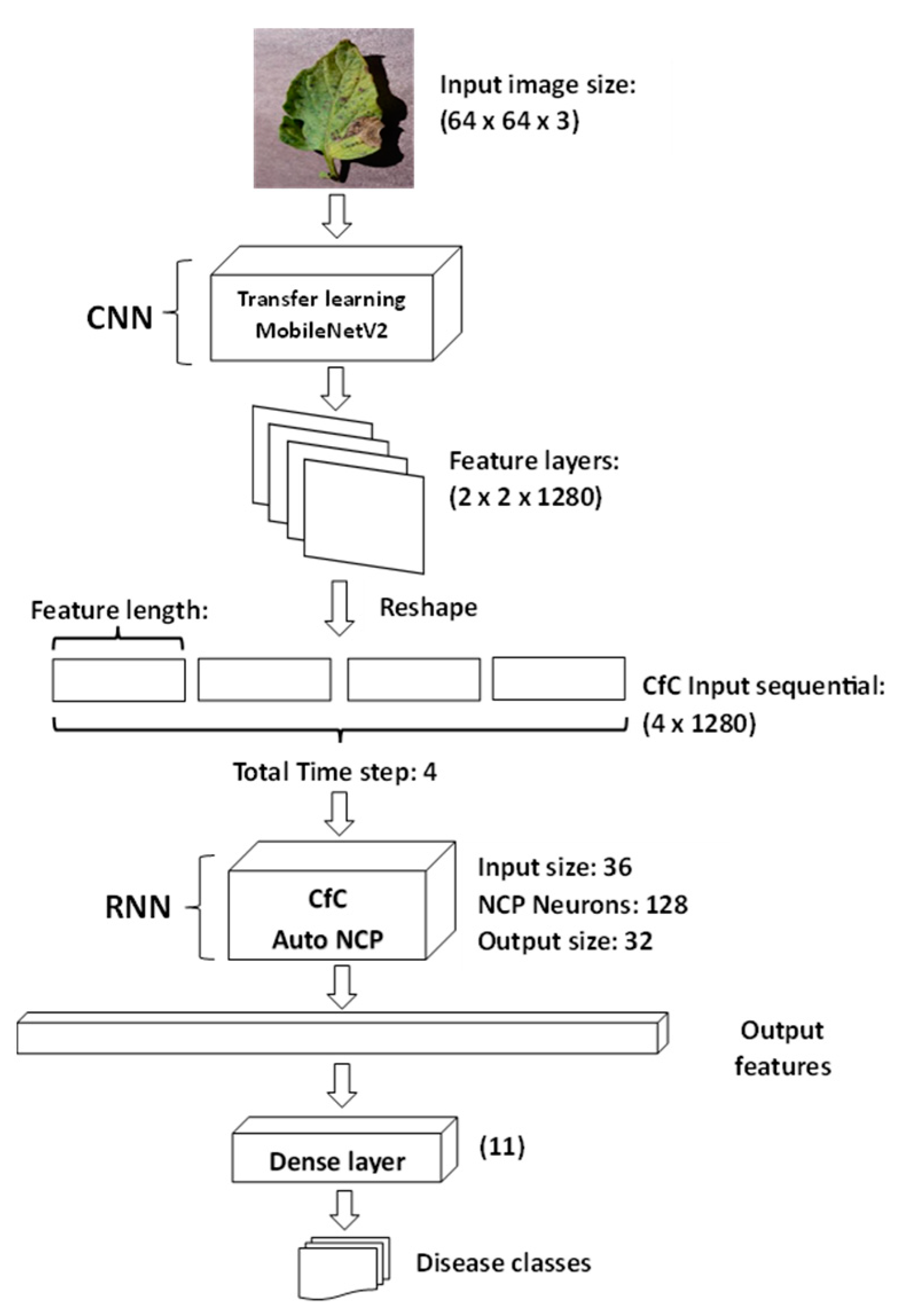 Optimizing Plant Disease Classification with Hybrid Convolutional Neural Network–Recurrent ...