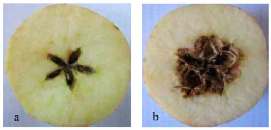 Combining Dielectric and Hyperspectral Data for Apple Core Browning ...