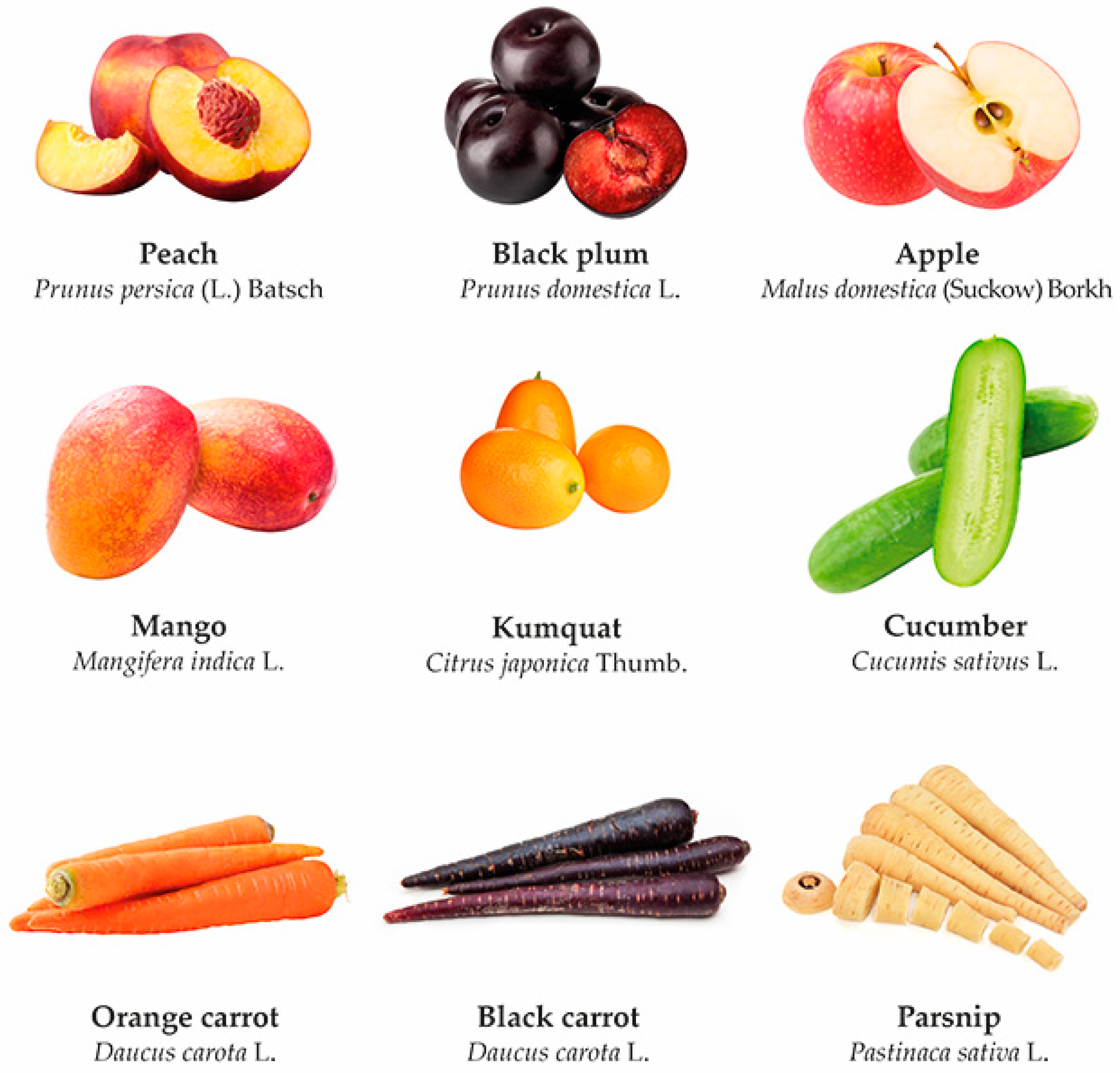 10 Names Of Fruits In Sanskrit - Infoupdate.org