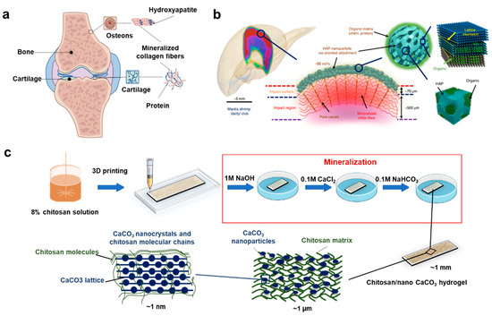 Biomineralization Process Inspired In Situ Growth of Calcium Carbonate ...