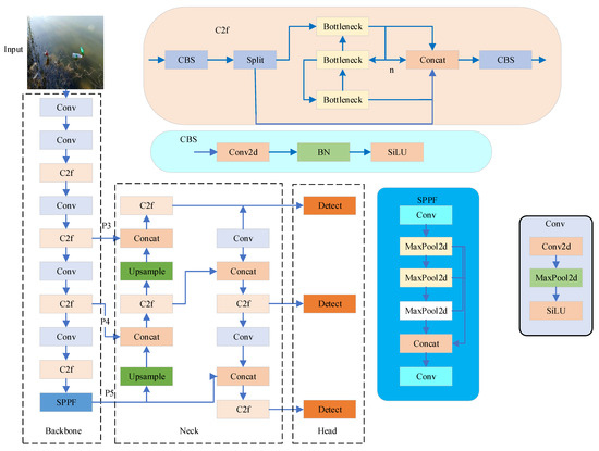 SS-YOLOv8: A Lightweight Algorithm for Surface Litter Detection