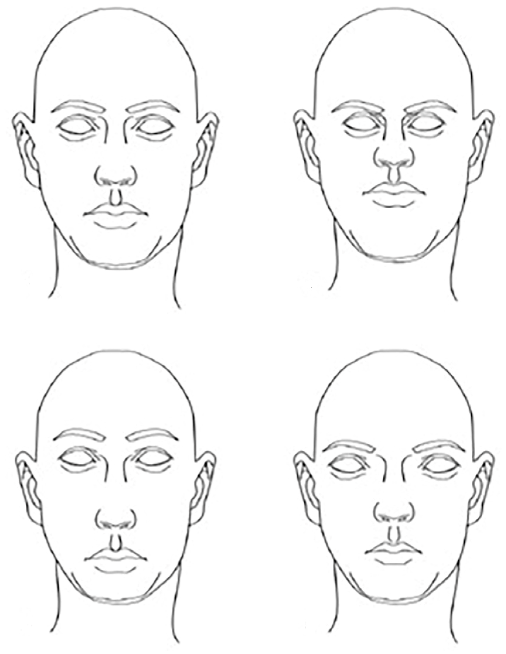 Design of a Multi-Vision System for a Three-Dimensional Mug Shot Model ...
