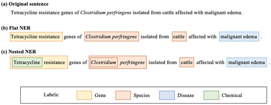 Biomedical Flat and Nested Named Entity Recognition: Methods, Challenges, and Advances