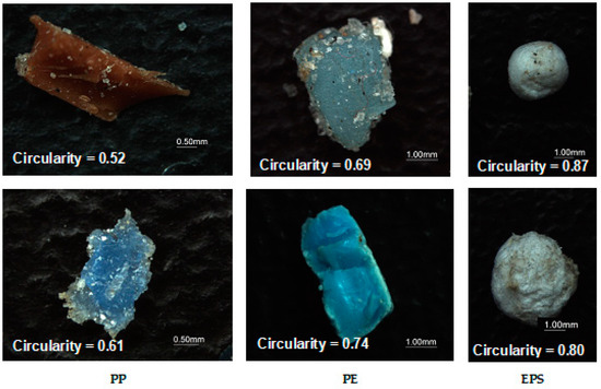 Marine Microplastic Classification by Hyperspectral Imaging: Case ...
