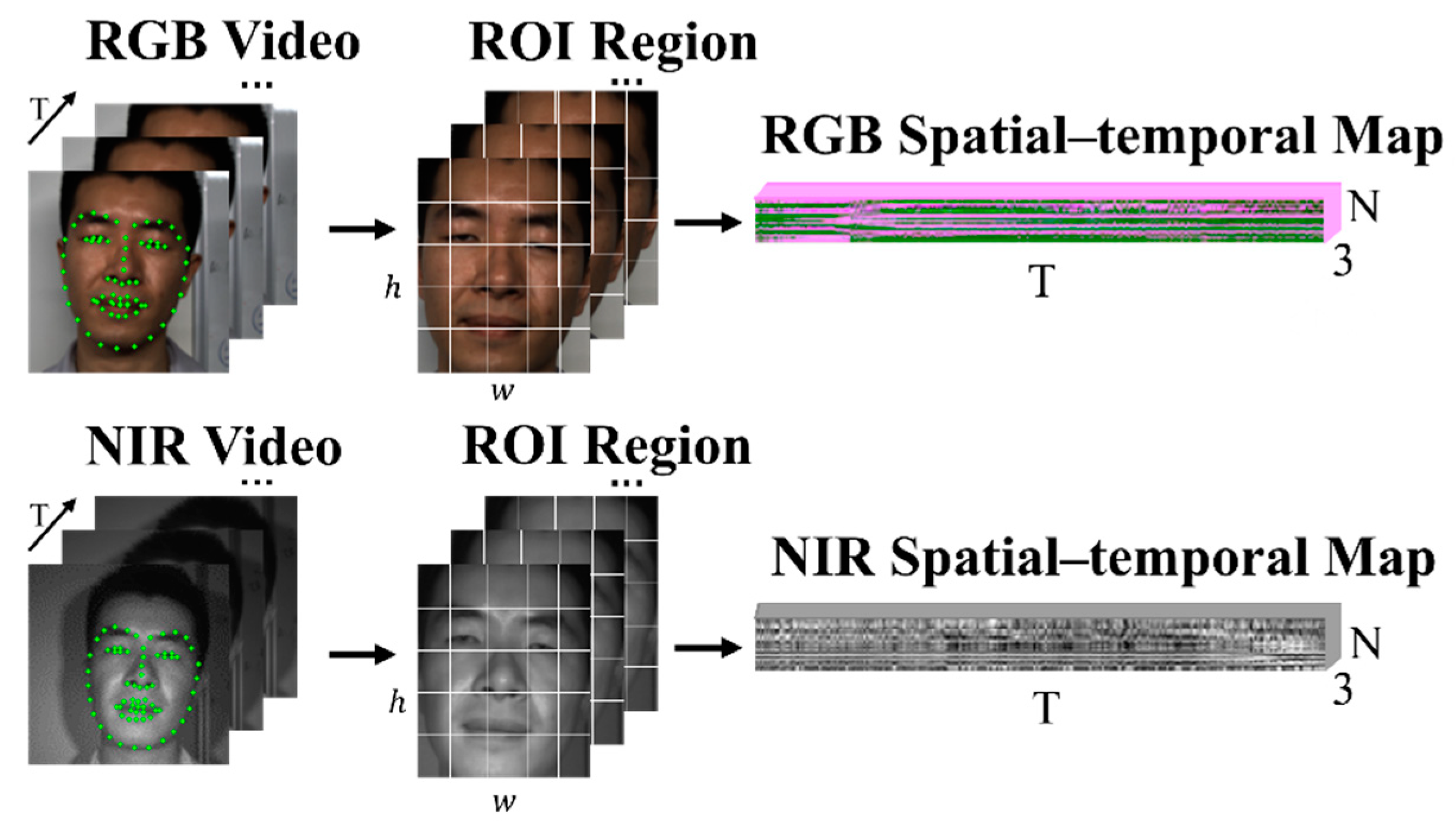 Spatiotemporal Sensitive Network for Non-Contact Heart Rate Prediction ...